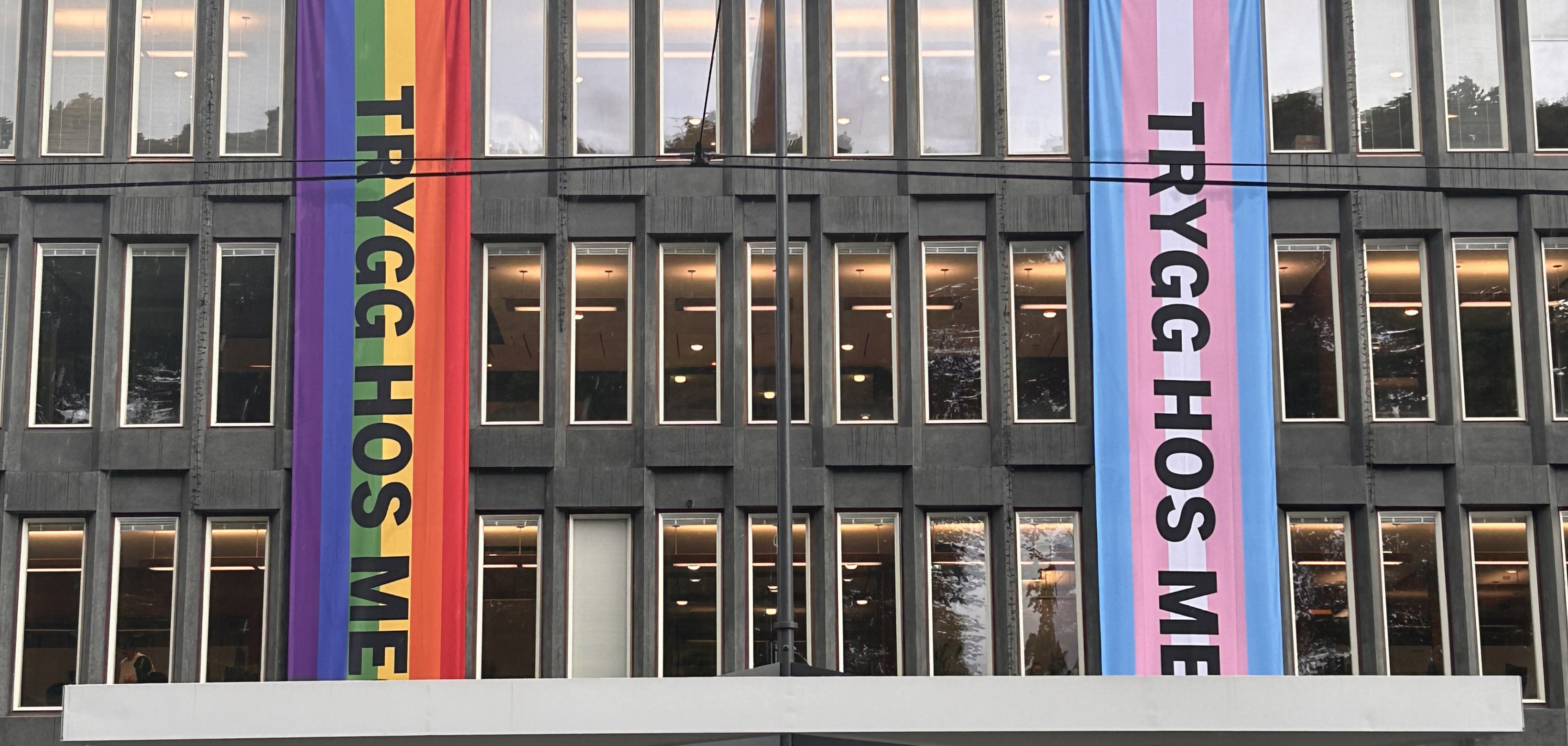 Amnesty International Norge - Artisti