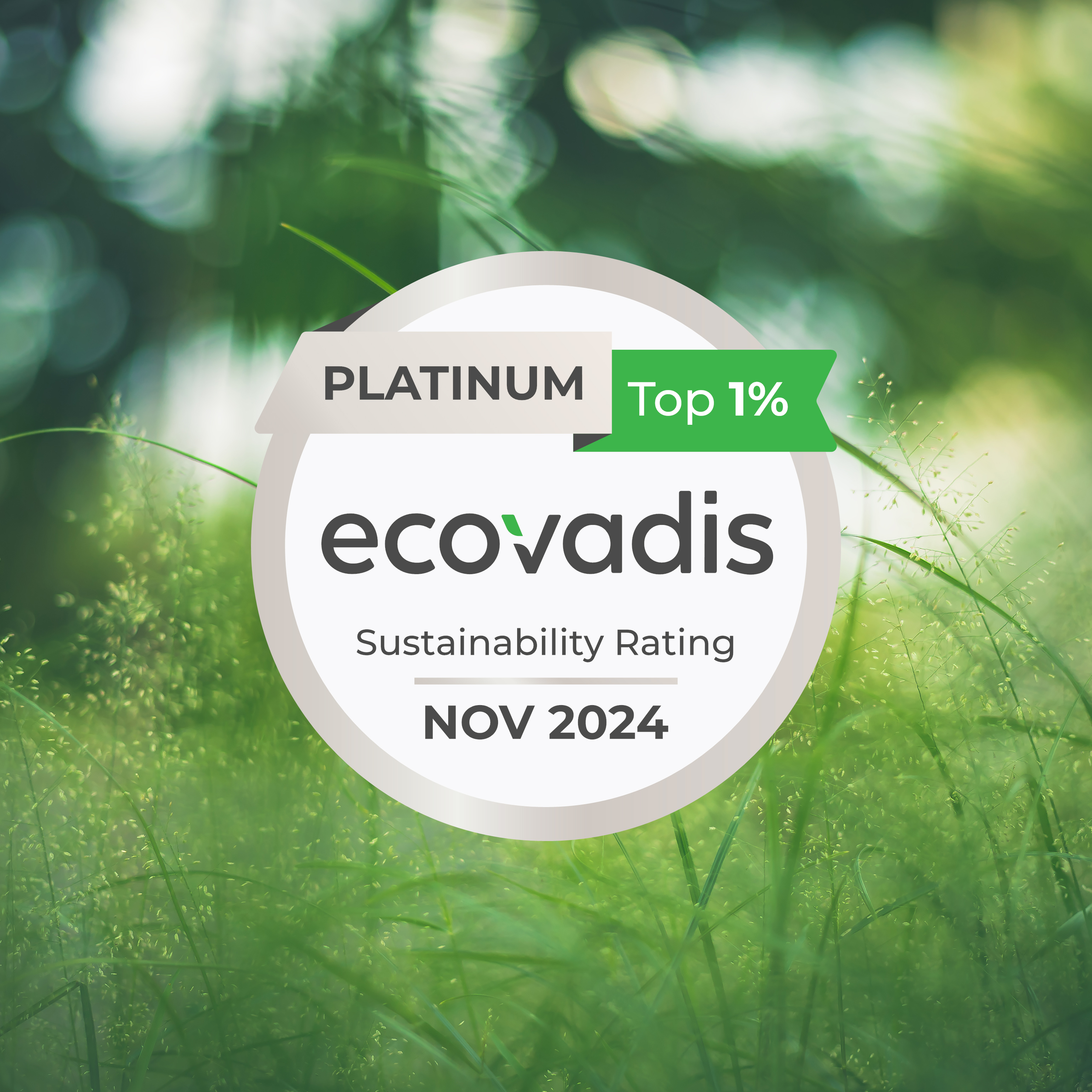 Ecovadis Platinum – Sustainability and Responsibility - Artisti